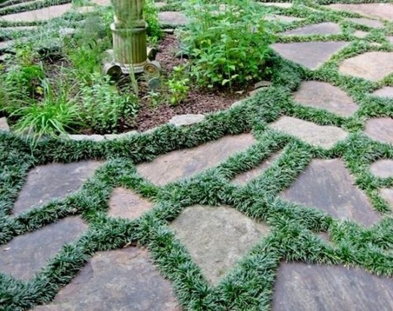 21 Beautiful Walkable Ground Covers for a Dreamy Garden