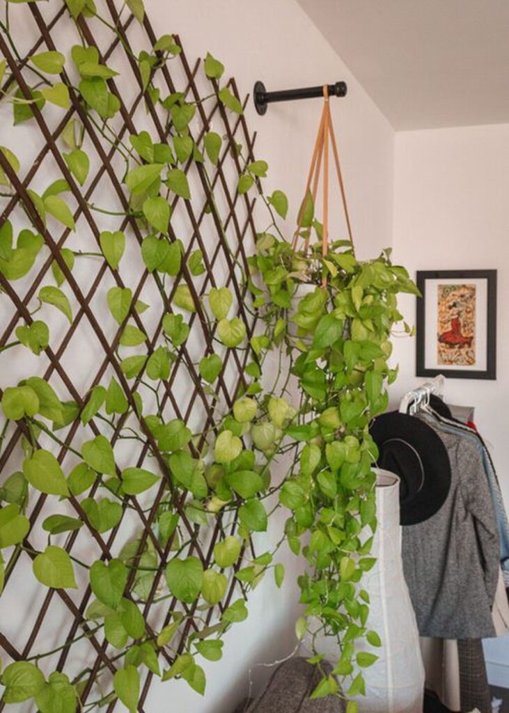 28 Stunning Indoor Vine Wall Ideas for a Fresh Modern Home