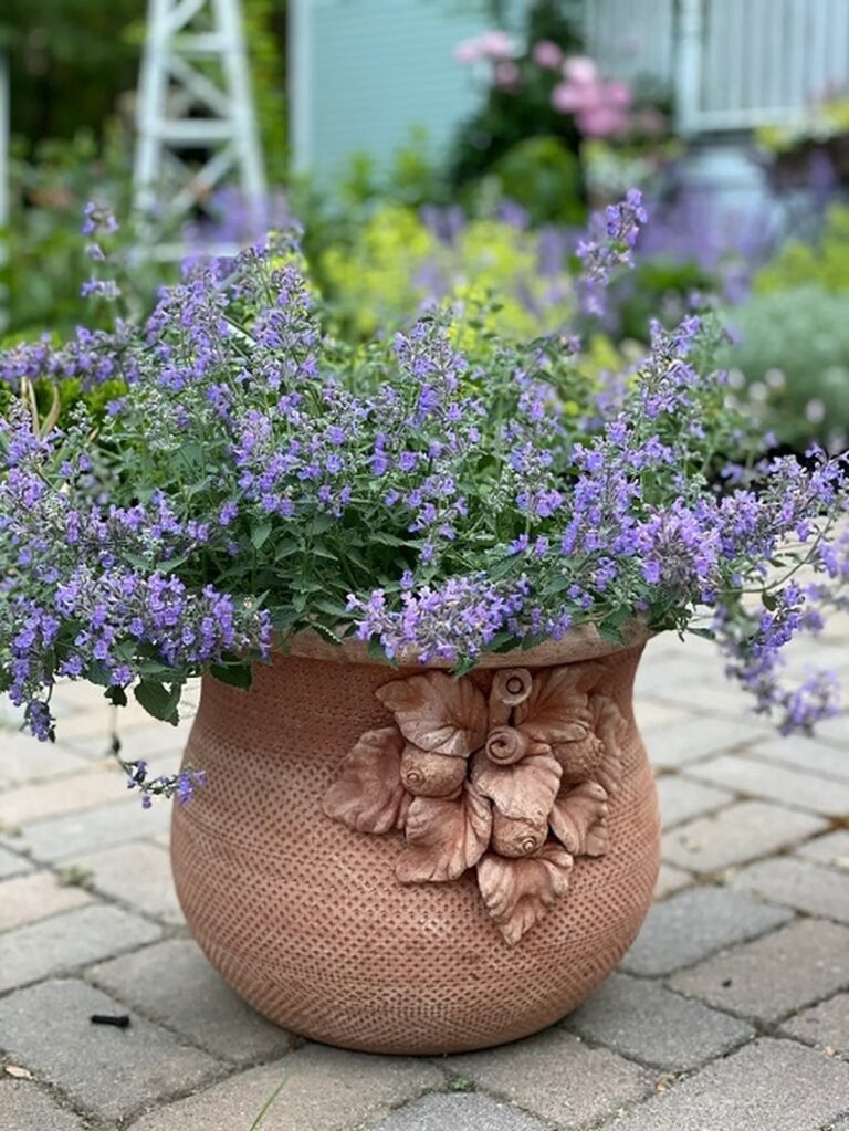 13 Breathtaking Mauve Flowers to Brighten Your Garden