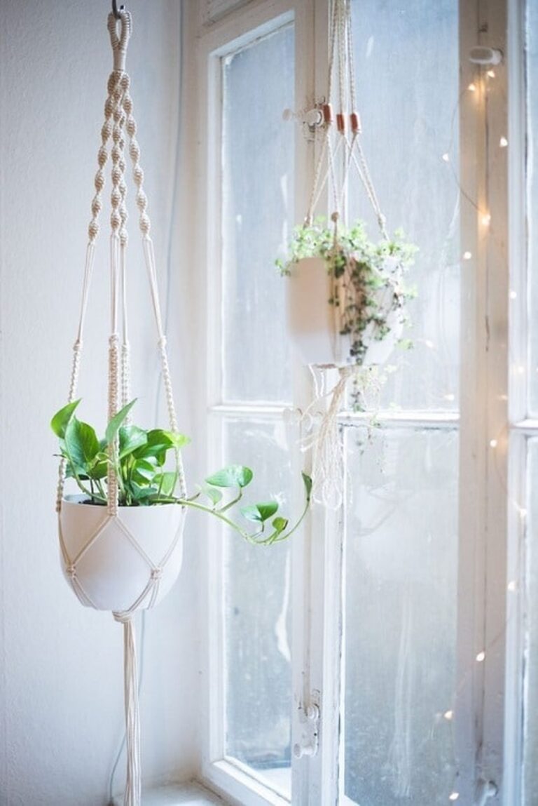 33 Gorgeous Hanging Plants for Front Windows to Brighten Your Home
