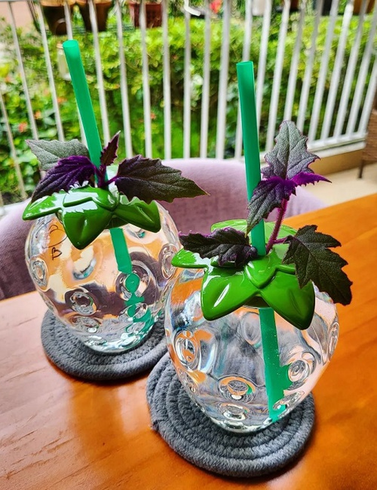 14 Amazing Purple Plants That Thrive in Water
