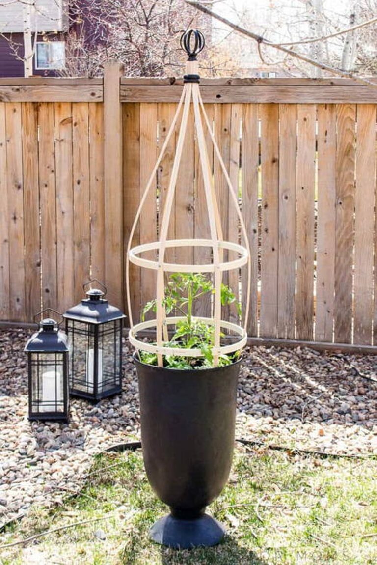 23 Beautiful DIY Plant Trellises for Pots Anyone Can Make