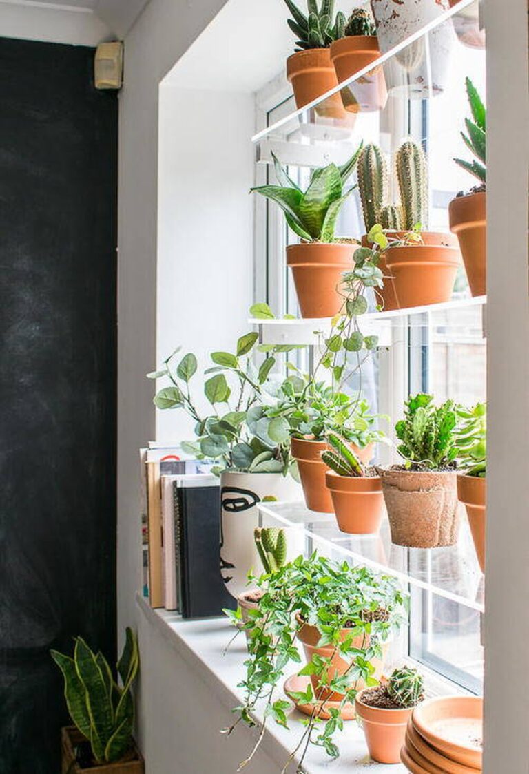 26 Charming Indoor Window Shelf Ideas for Plants to Brighten Up