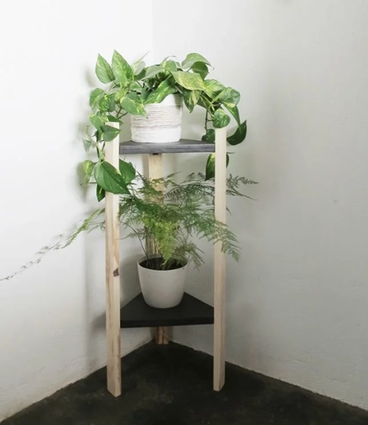 15 Charming DIY Corner Plant Stand Ideas for Houseplants