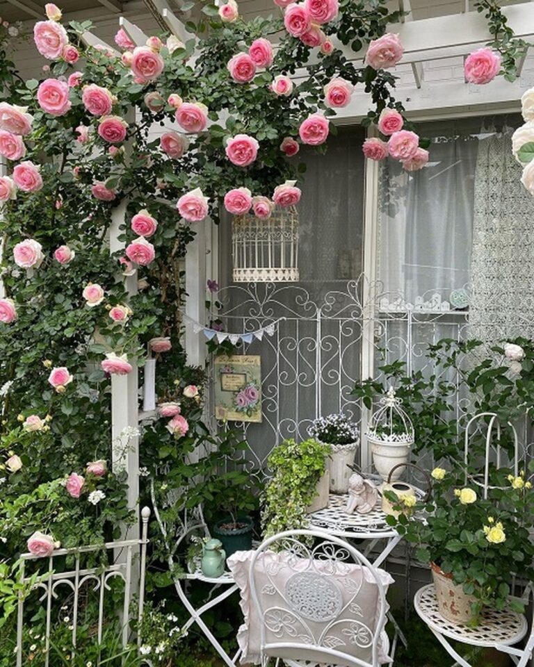 21 Stunning Fast Growing Creepers and Vines for Your Garden