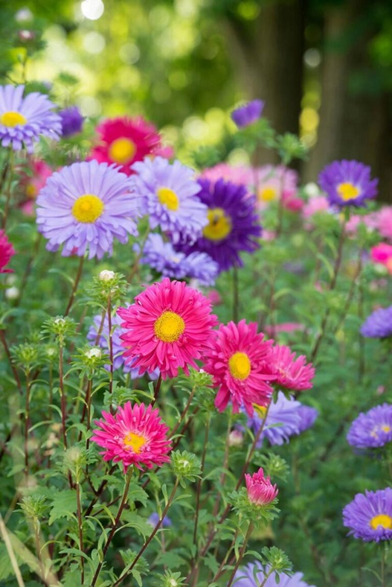 32 Enchanting Chinese Flowers That Bloom With Eastern Charm
