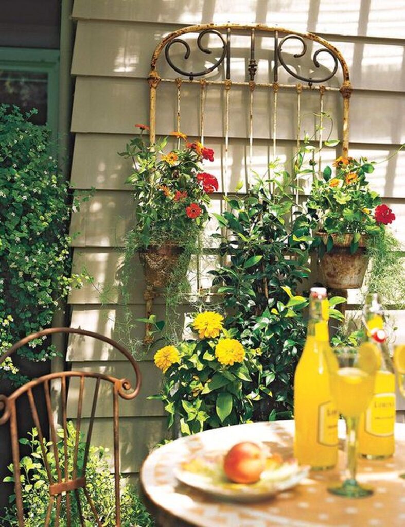 40 Charming Ways to Display Vines Both Indoors and Outdoors
