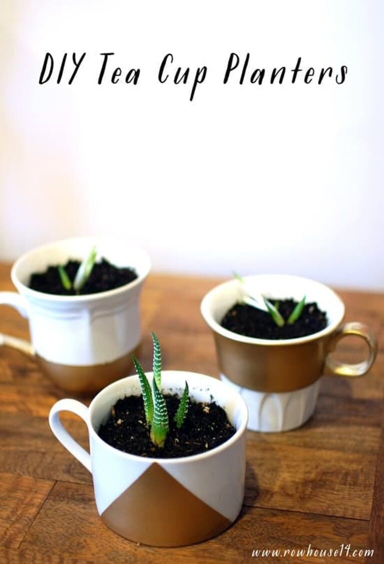 31 Adorable DIY Teacup Garden Ideas Everyone Will Love