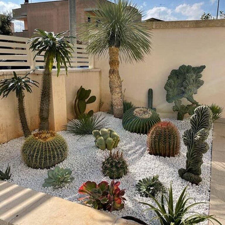 35 Stunning Desert Landscaping Ideas Pictures to Transform Your Yard