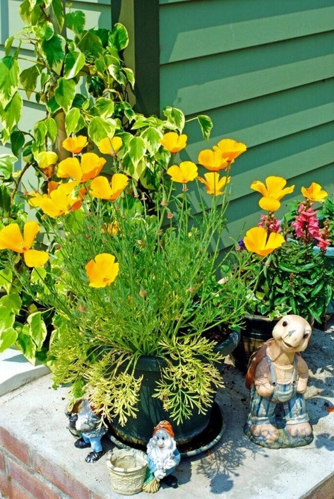26 Stunning Gold Flowers That Add Luxury To Any Garden
