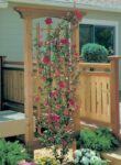 26 Beautiful DIY Rose Trellis Ideas for Your Garden