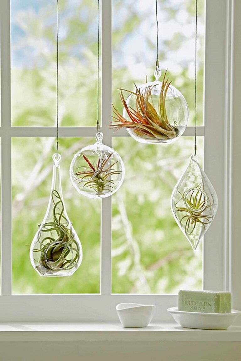 33 Gorgeous Hanging Plants for Front Windows to Brighten Your Home