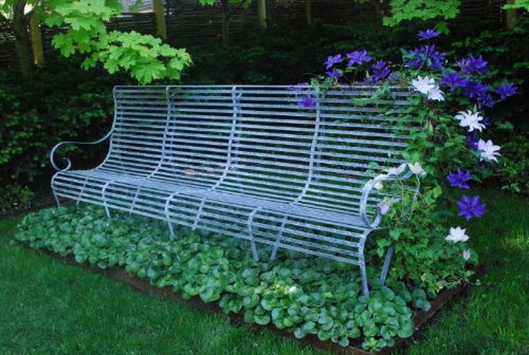 27 Stunning Ideas with Clematis in the Garden to Inspire You