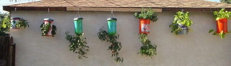 17 Delightful DIY Upside-Down Planter Ideas for Green Thumbs