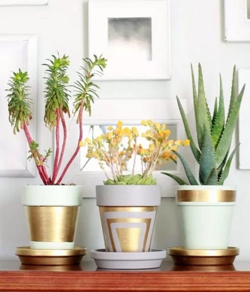 20 Brilliant Ways to Transform Cheap Pots into Expensive DIY Planters