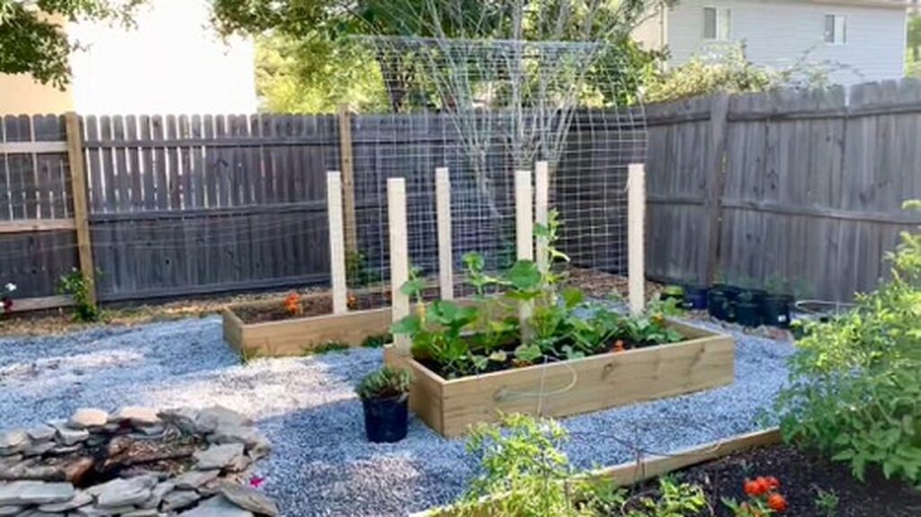 17 Fantastic DIY Squash Trellis Ideas for Your Garden