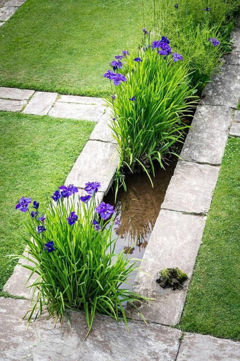 24 Stunning Iris Arrangement Ideas That Brighten Any Space