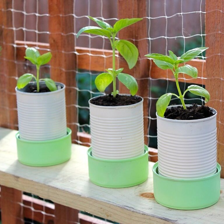 12 Clever DIY Plant Saucer Ideas That Protect Your Floors