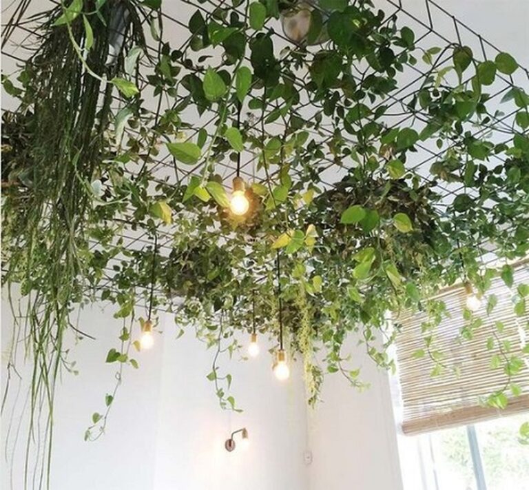 29 Stunning Plant Ceiling Ideas to Transform Your Space