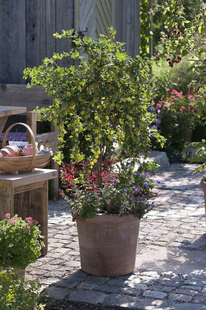 18 Enchanting Native European Plants That Thrive Locally
