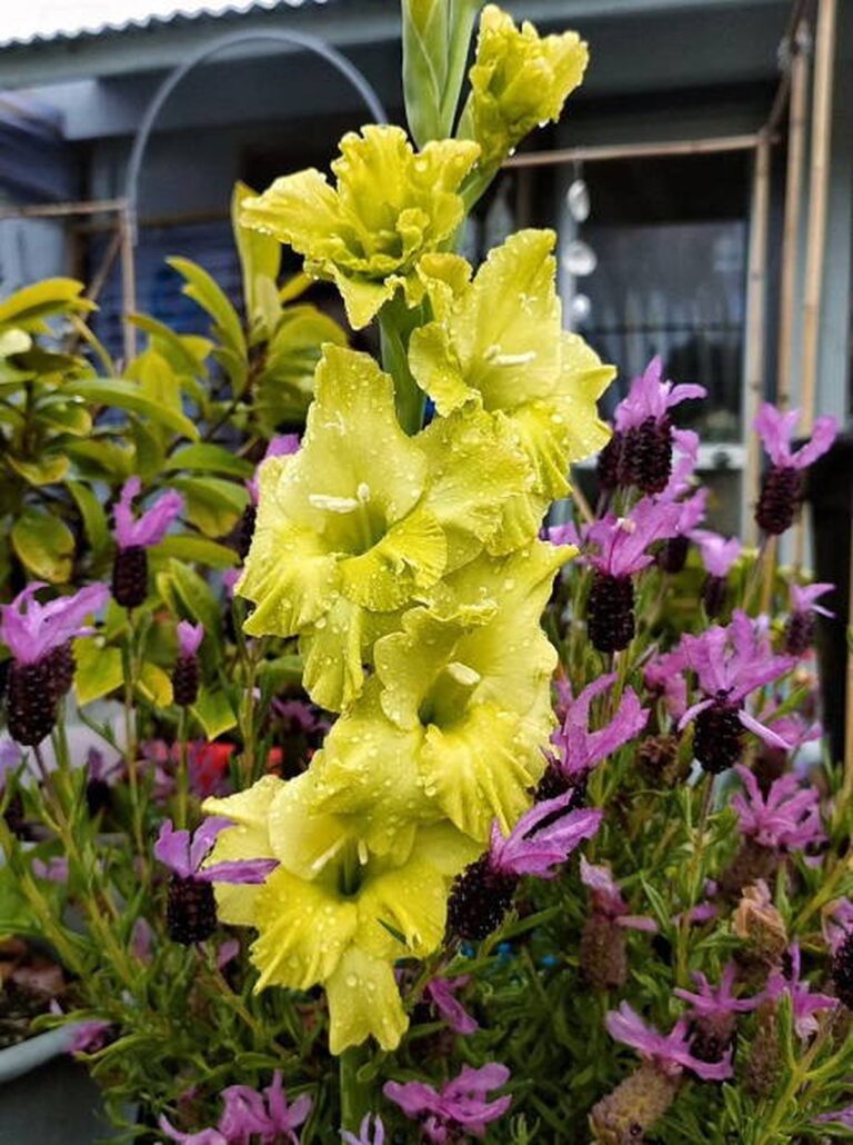11 Stunning Emerald Flowers That Bring Magic to Your Garden