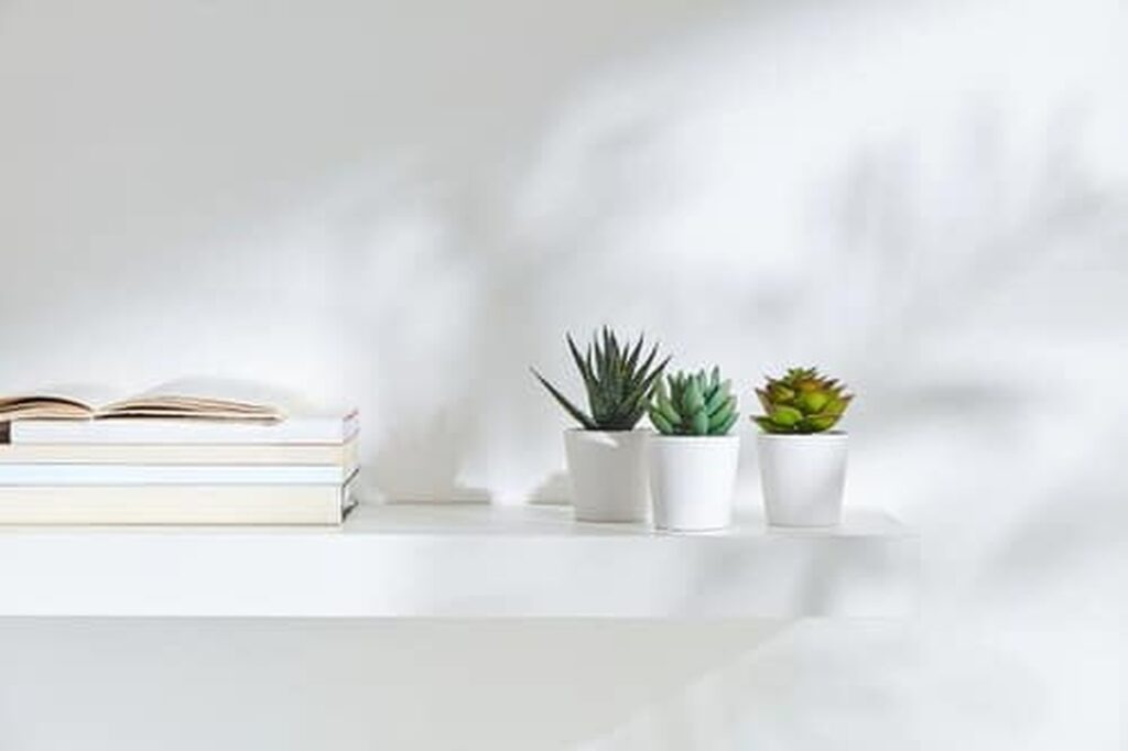 27 Stunning Ways IKEA Pots Transform Your Indoor Plants