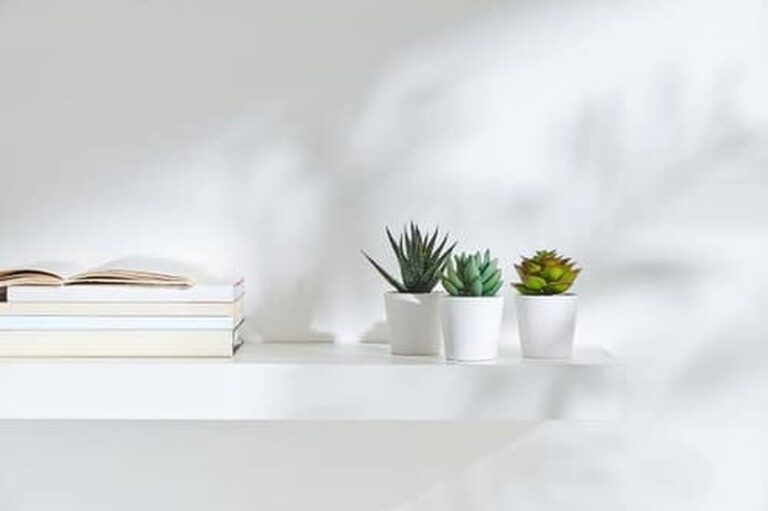 27 Stunning Ways IKEA Pots Transform Your Indoor Plants
