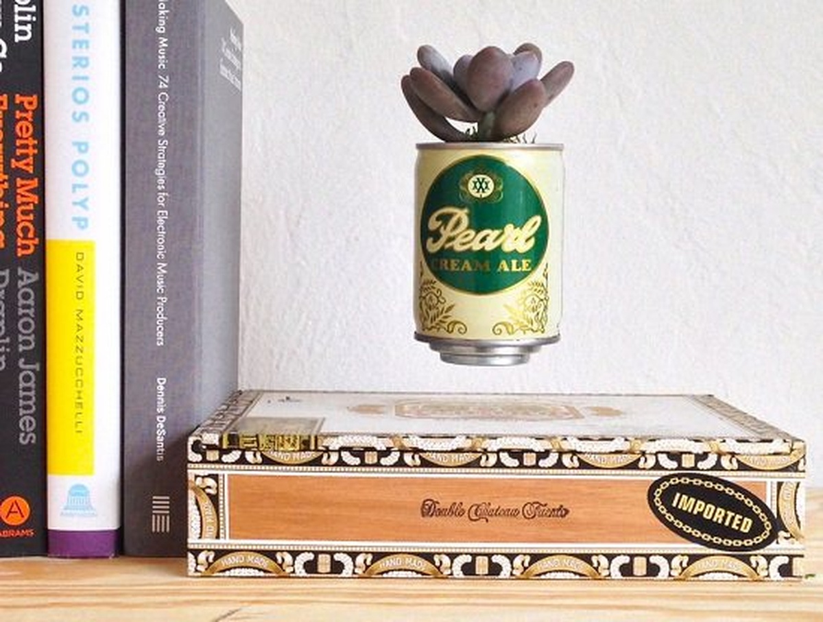 7 Charming DIY Indoor Magnetic Garden Ideas to Try Today
