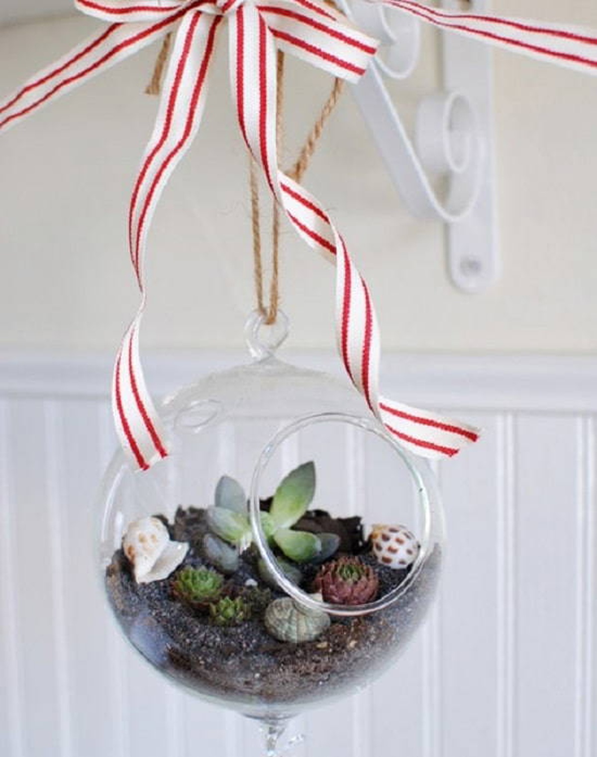8 Enchanting DIY Glass Globe Terrarium Recipes For Plant Lovers
