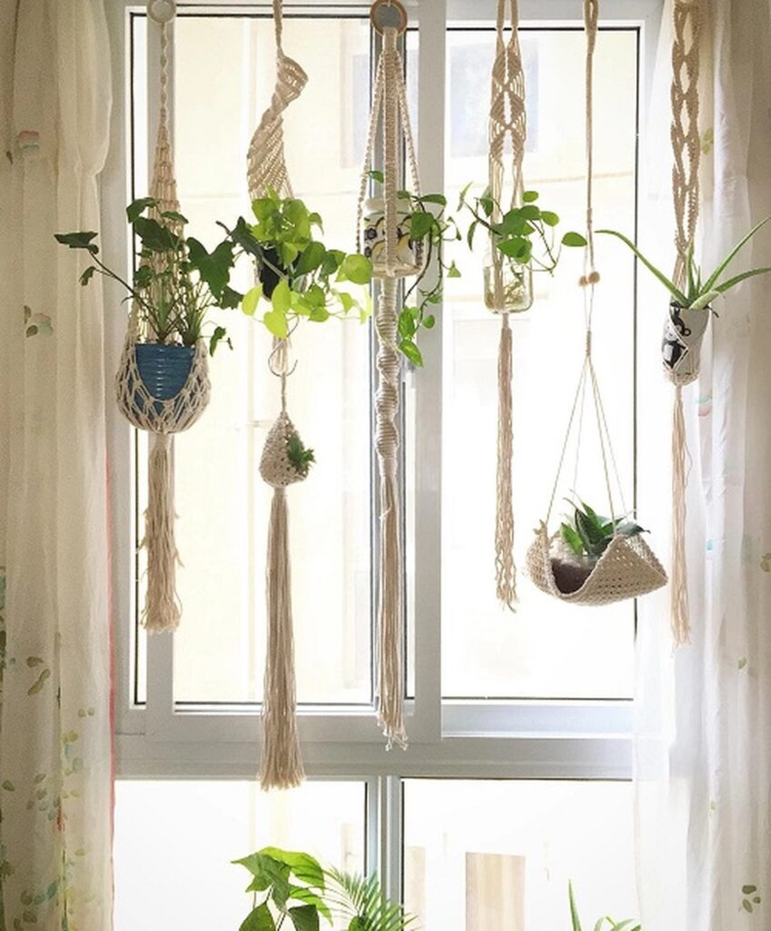 33 Gorgeous Hanging Plants for Front Windows to Brighten Your Home