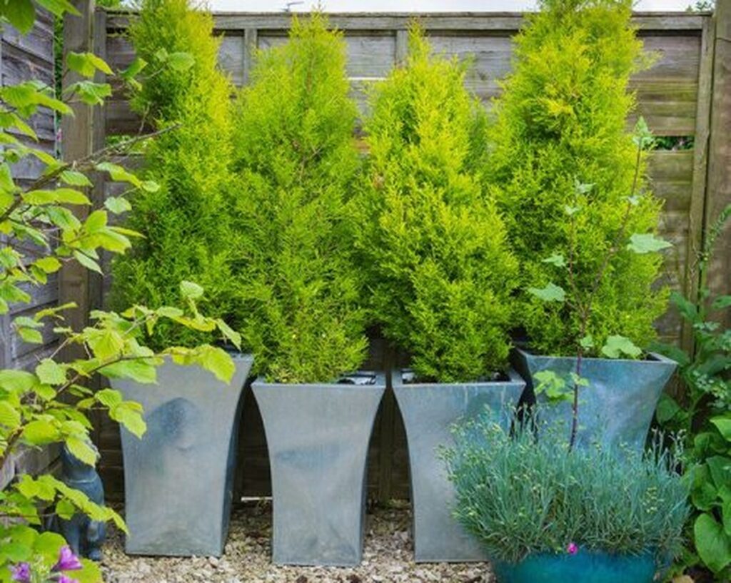 14 Simple Container Garden Design Ideas for a Lovely Outdoor Space