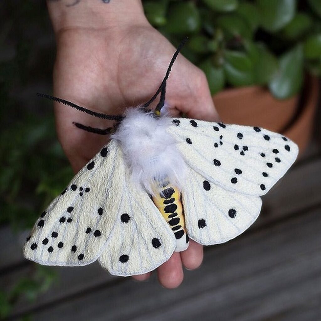 8 Stunning Fluffy Moths to Discover in Your Garden