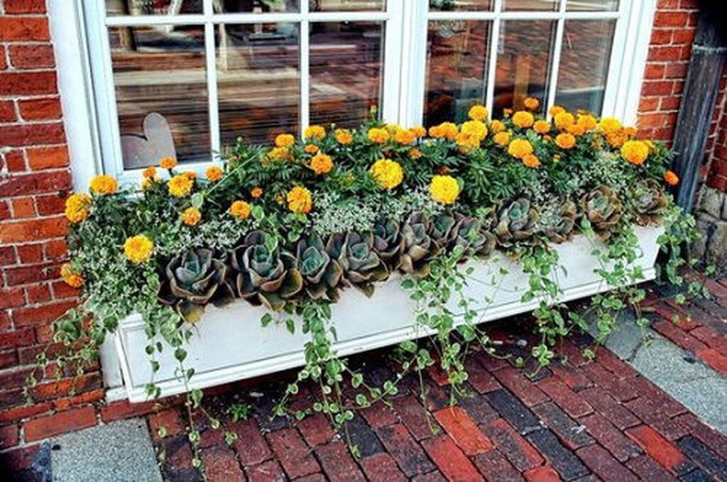 20 Charming Ideas To Grow Marigolds In Hanging Baskets