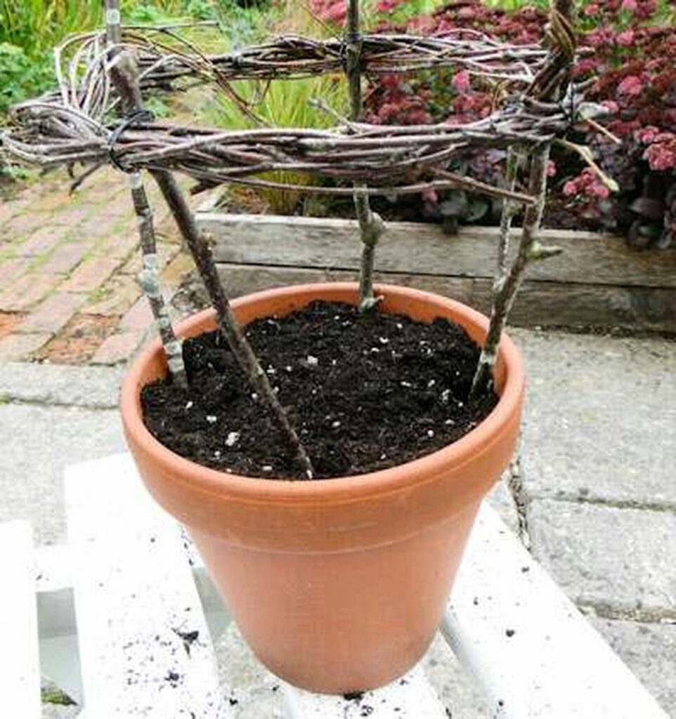 25 Charming Twig and Branches Craft Ideas for Garden Design