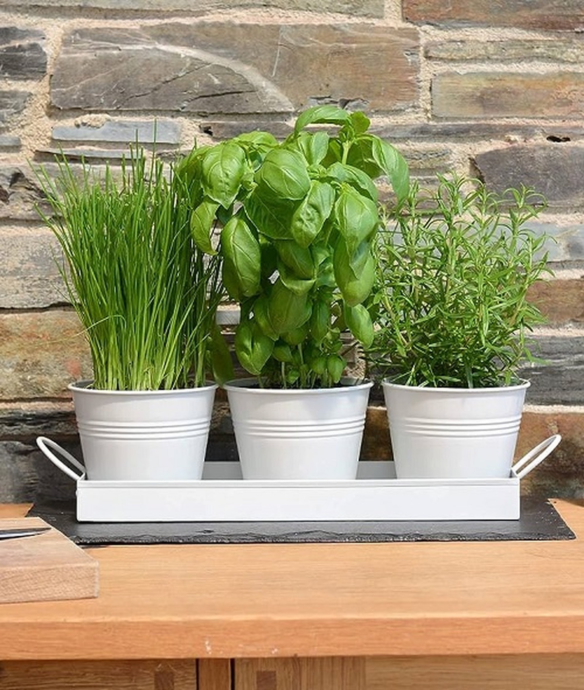 12 Essential Container Herb Garden Tips for Thriving Potted Herbs
