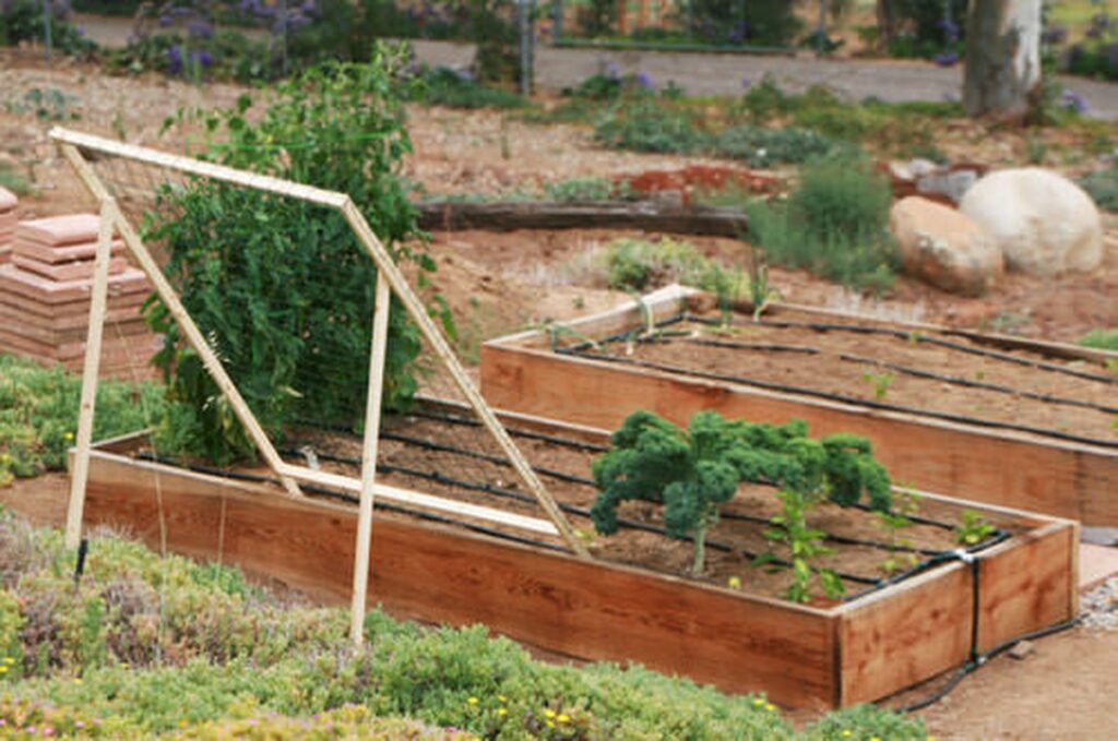17 Fantastic DIY Squash Trellis Ideas for Your Garden