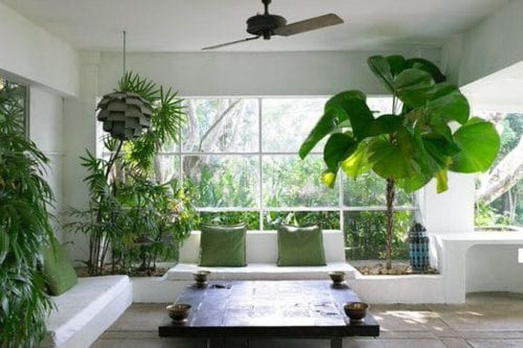 40 Stunning Indoor Plant Ideas for Large Rooms to Transform Your Space