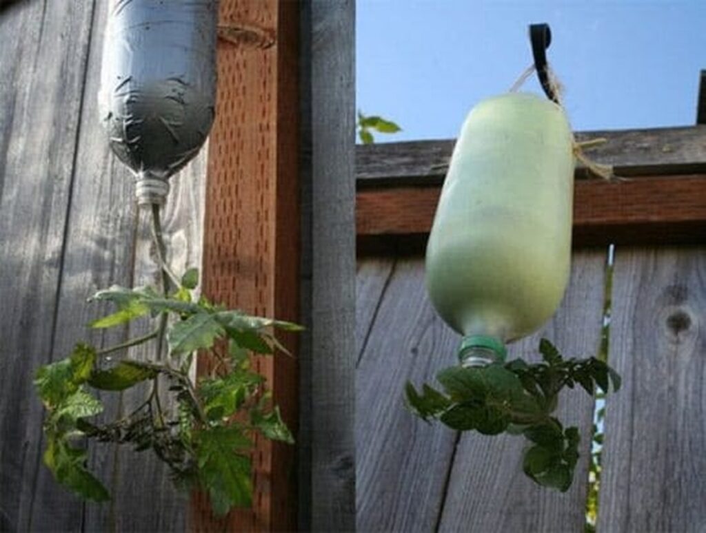 17 Delightful DIY Upside-Down Planter Ideas for Green Thumbs