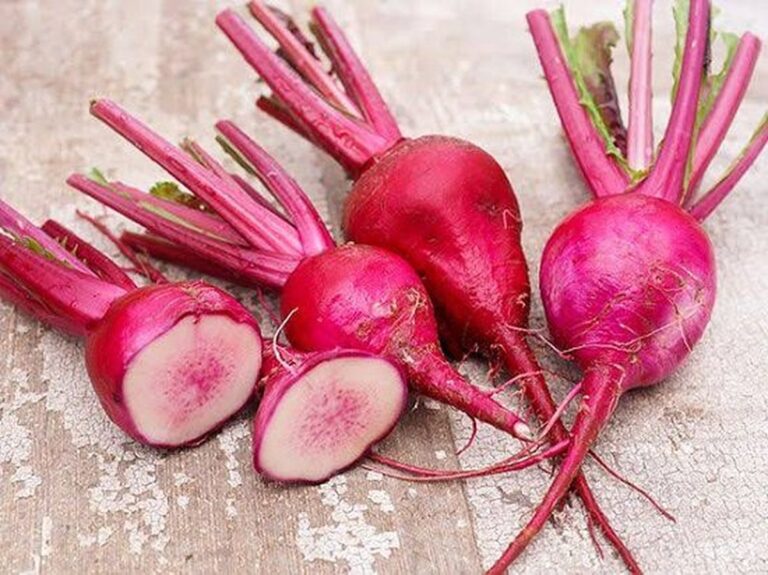 23 Delicious Types of Turnips: Best Varieties for Your Garden
