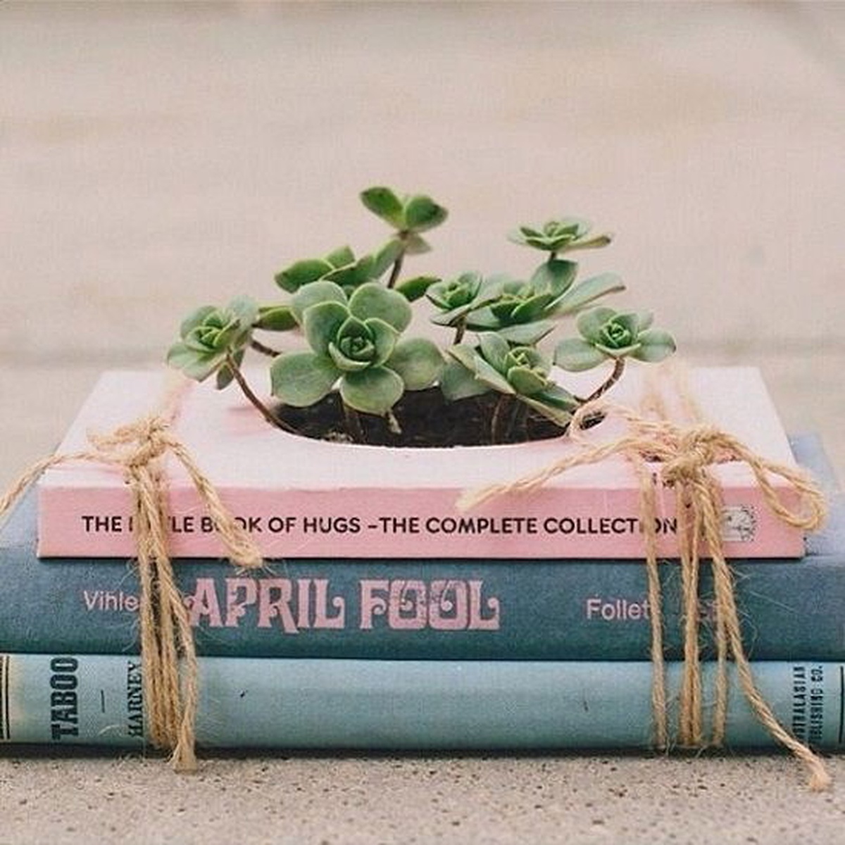 11 Enchanting DIY Book Planter Ideas That Bring Nature Home