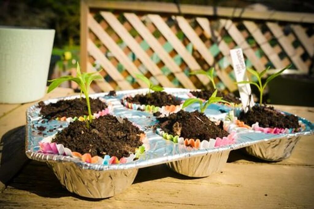 26 Clever DIY Seed Starting Hacks That Save Money and Time