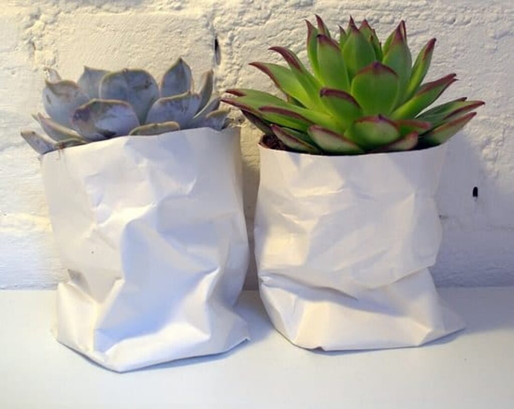14 Charming Ways to Recycle Papers Into DIY Paper Plant Pots