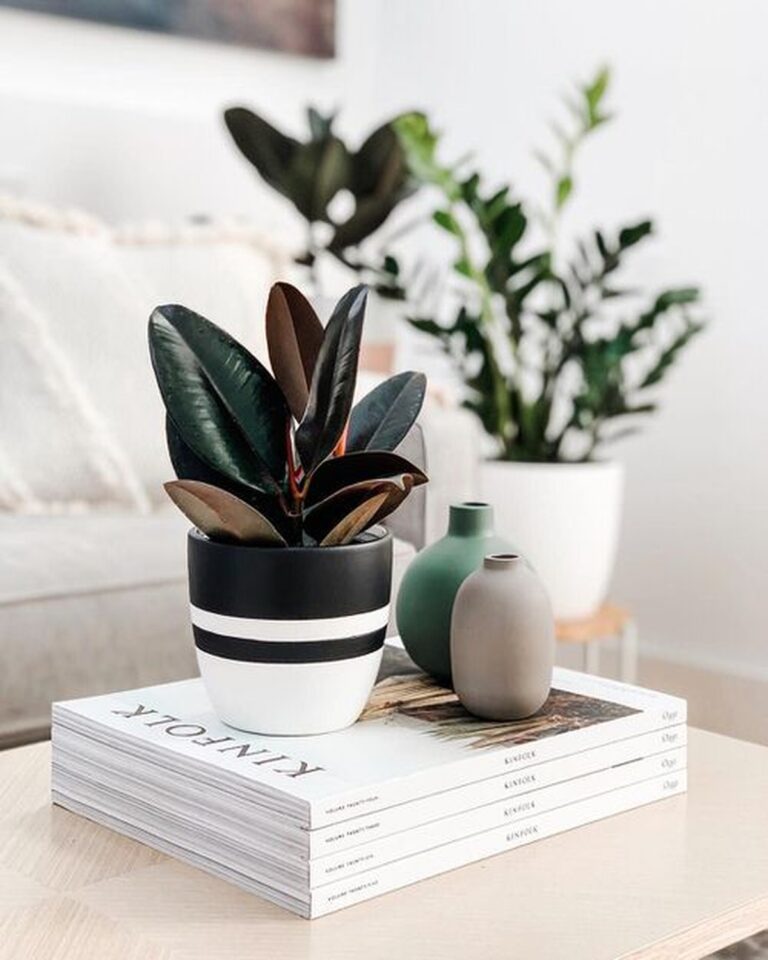 20 Charming Table Decorating Ideas with Small Potted Houseplants