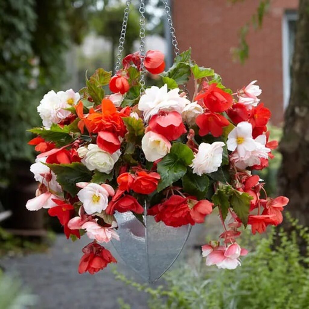 21 Gorgeous Hanging Basket Plant Ideas for a Lush Garden