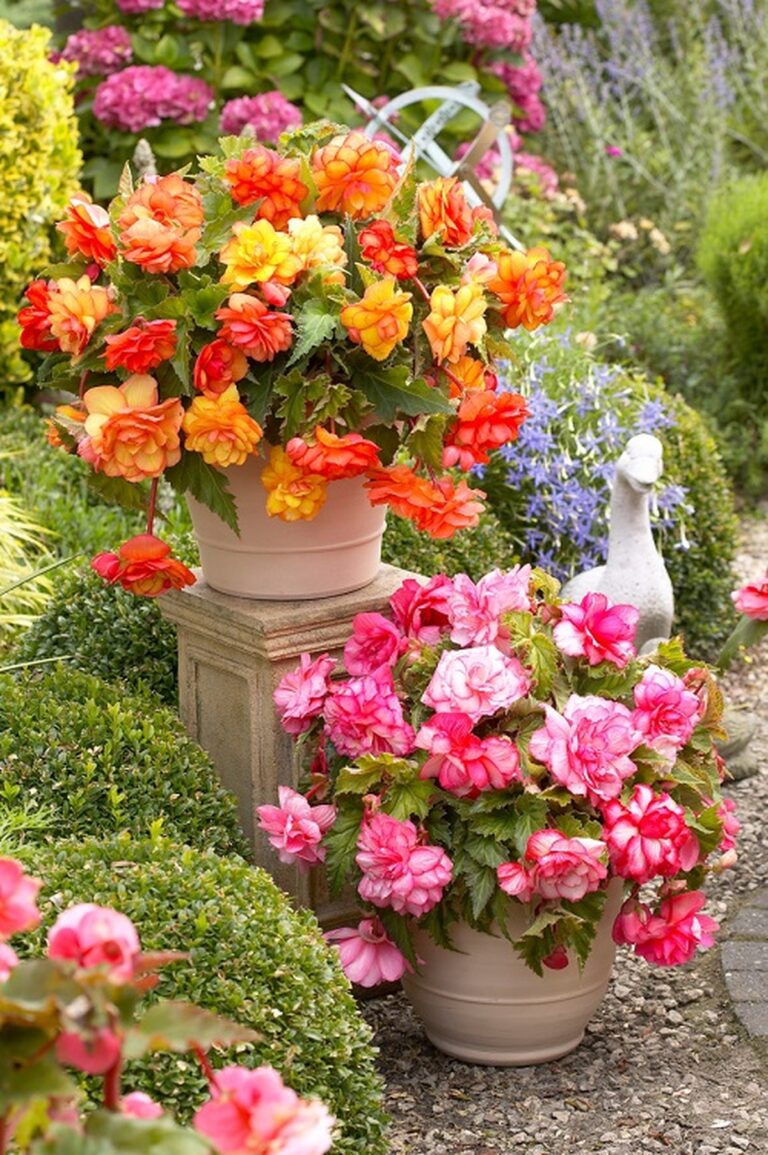 25 Powerful Flowers That Represent Strength - Nature's Warriors!