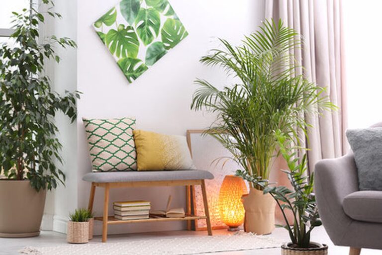 25 Refreshing Home Decor Ideas with Indoor Palms That Elevate Any Space