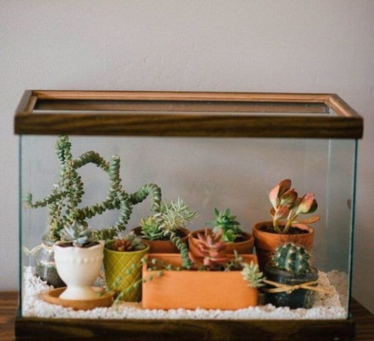 5 Awesome Ways to Repurpose An Old Fish Tank Today