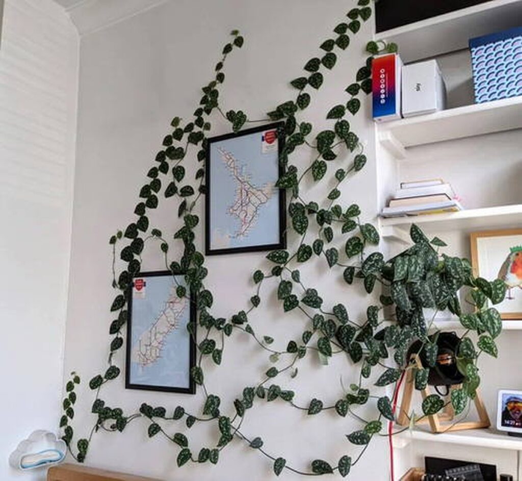 40 Charming Ways to Display Vines Both Indoors and Outdoors