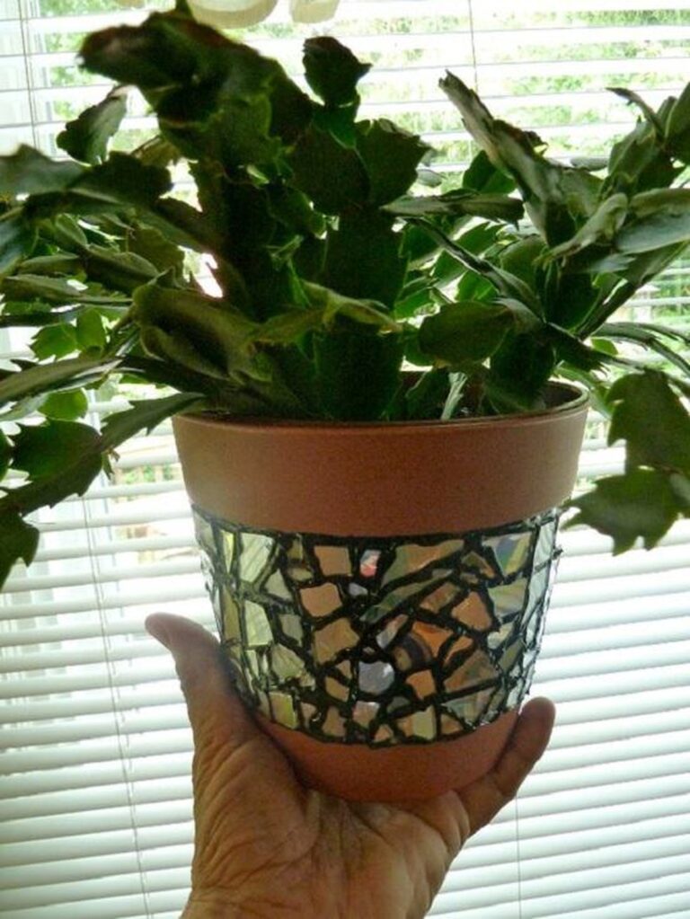 17 Clever DIY Uses for Old CDs in Garden - Breathe New Life Into Discs