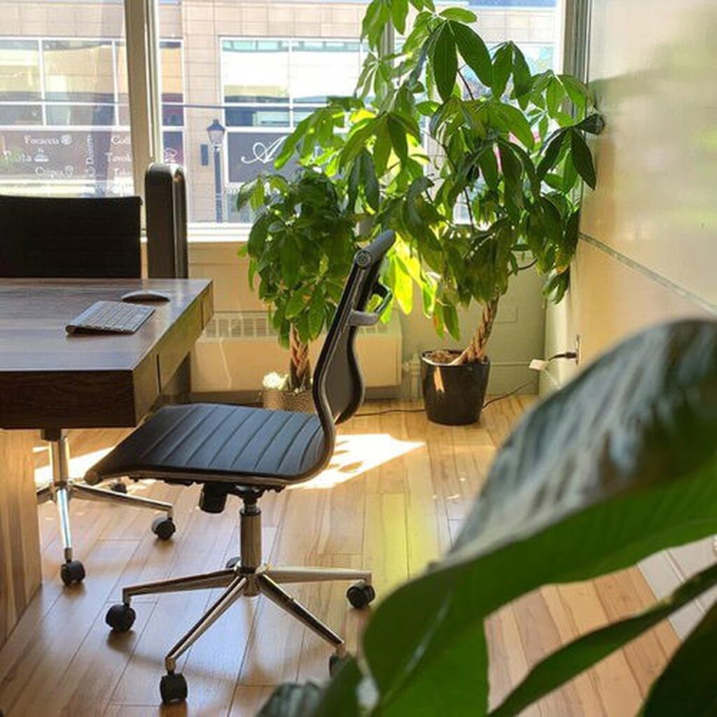 20 Charming Office Plant Decor Ideas for a Fresh Workspace